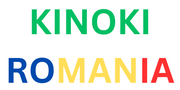 Plasturi Detoxifianți Kinoki pentru Picioare | Sănătate și Vitalitate ...